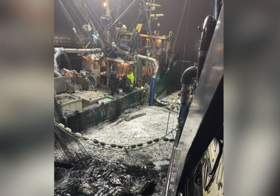 列治文鲱鱼义卖门票下周发售！ - 社会新闻 - 温哥华天空 - Vansky