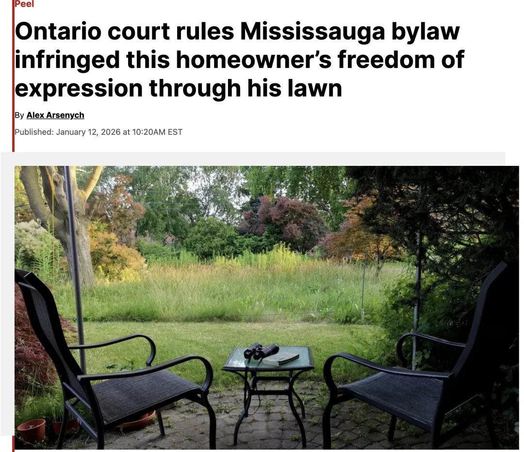 房主起诉市府胜诉！邻居投诉草坪太“野”后被整顿 - 法律新闻 - 温哥华天空 - Vansky