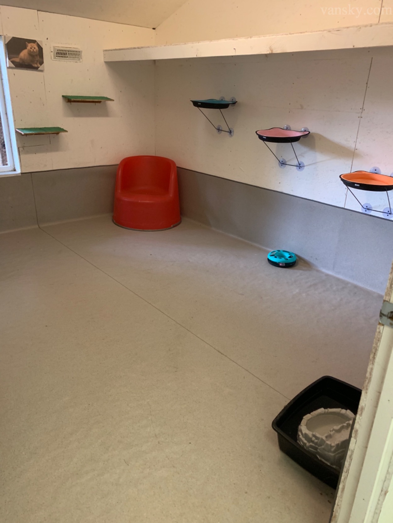 温哥华宠物 Animal Loving Certre 是大温地区，乃至整个BC低陆平原最具规模的超大型动物康乐,寄养中心. 我们的宗旨是为广大的爱护动物人士提供给他们的宠物 - 温哥华天空 ...