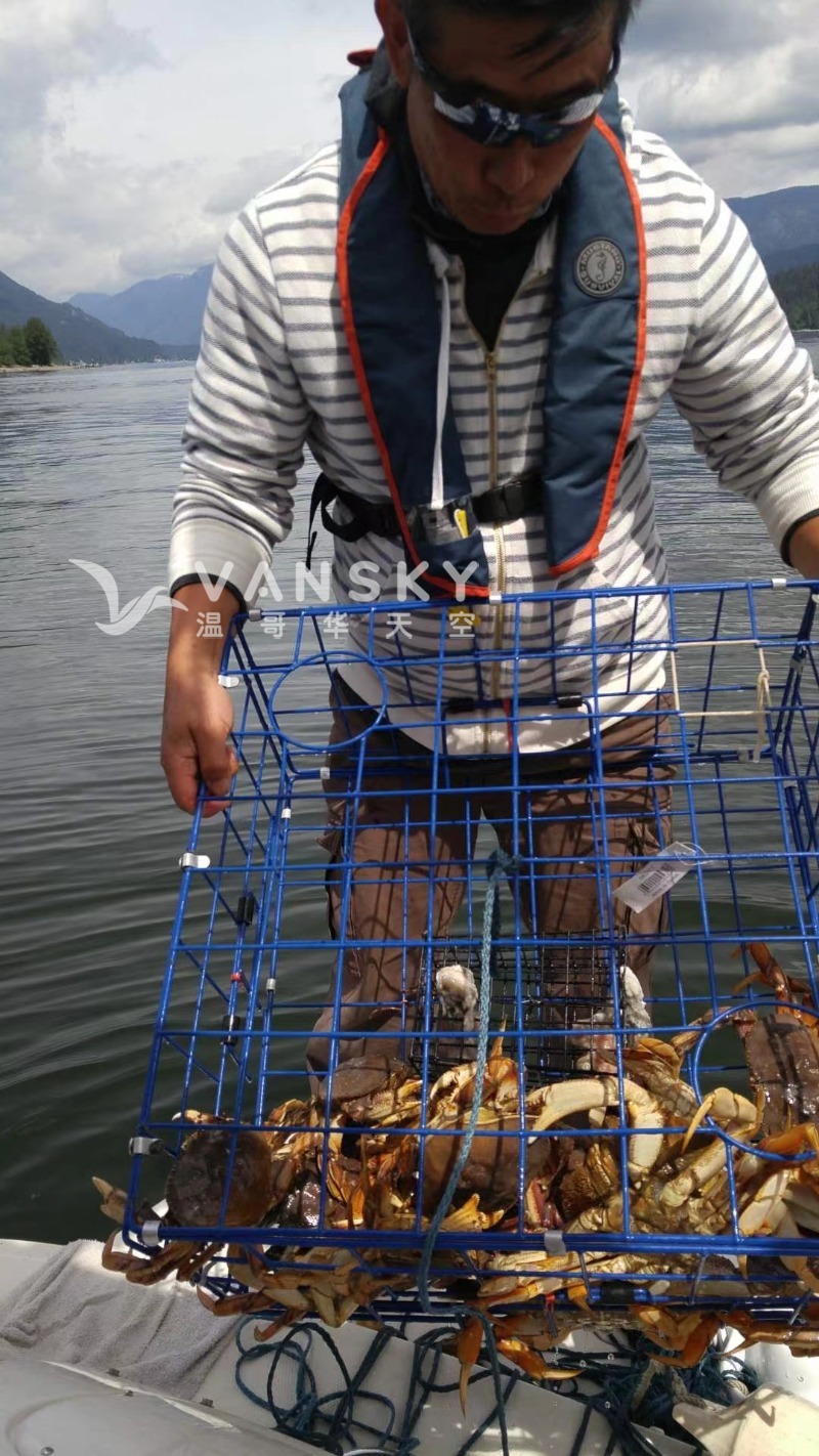 温哥华寻伴出游 19号海上结伴游两个行程，1.海上钓螃蟹，2.晚上看烟花表演。 - 温哥华天空 - Vansky.com